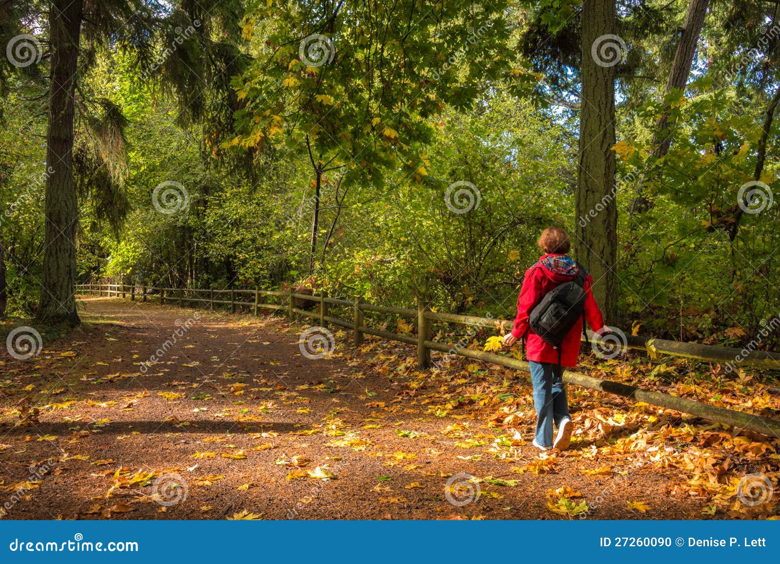 Woman on Autumn Hike stock photo. Image of exercising - 27260090