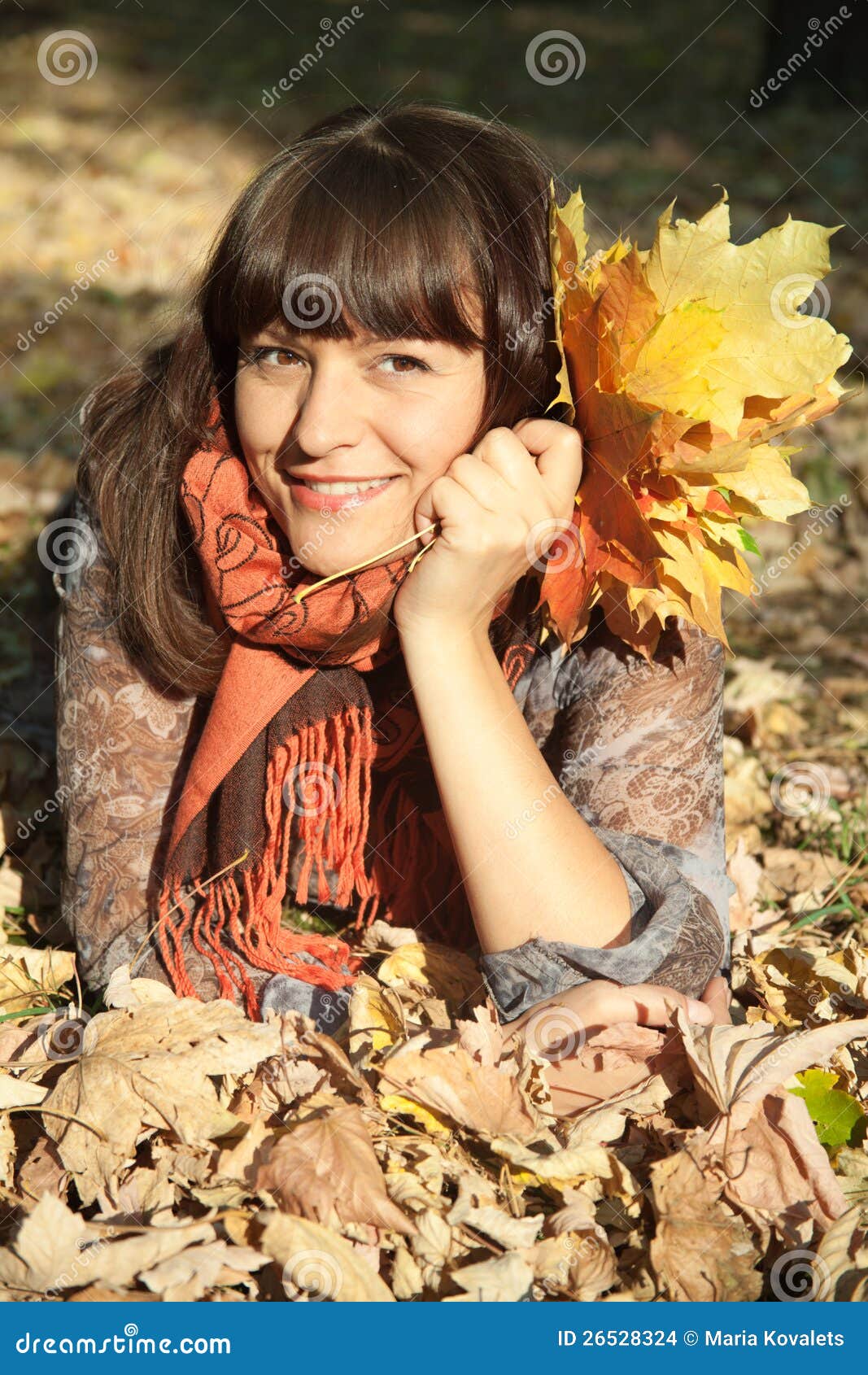 Woman with autumn leaves stock photo. Image of leaves - 26528324