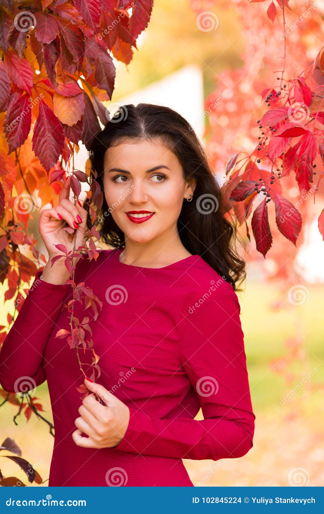 Woman in the autumn park stock photo. Image of meadow - 102845224