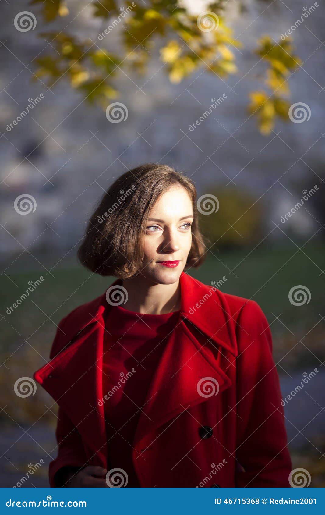 Woman at Autumn Park with Certain Look Stock Photo - Image of leaves ...