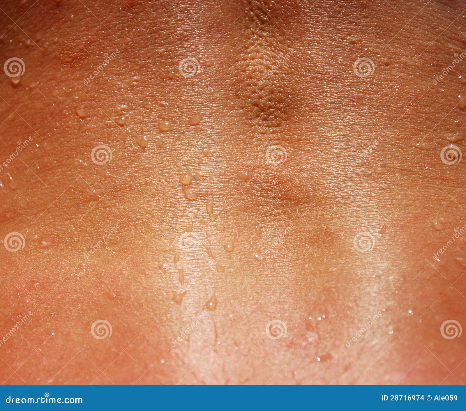 Woman Back Spine Closeup stock photo. Image of skin, beauty - 28716974