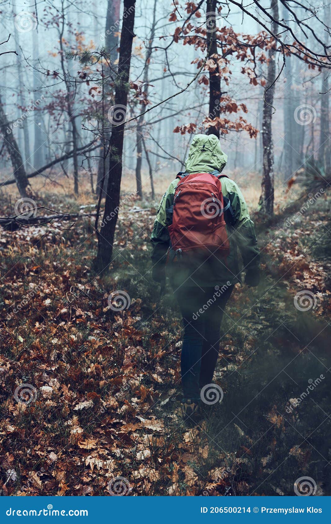 Woman with Backpack Wandering Around a Forest on Autumn Cold Day Stock ...