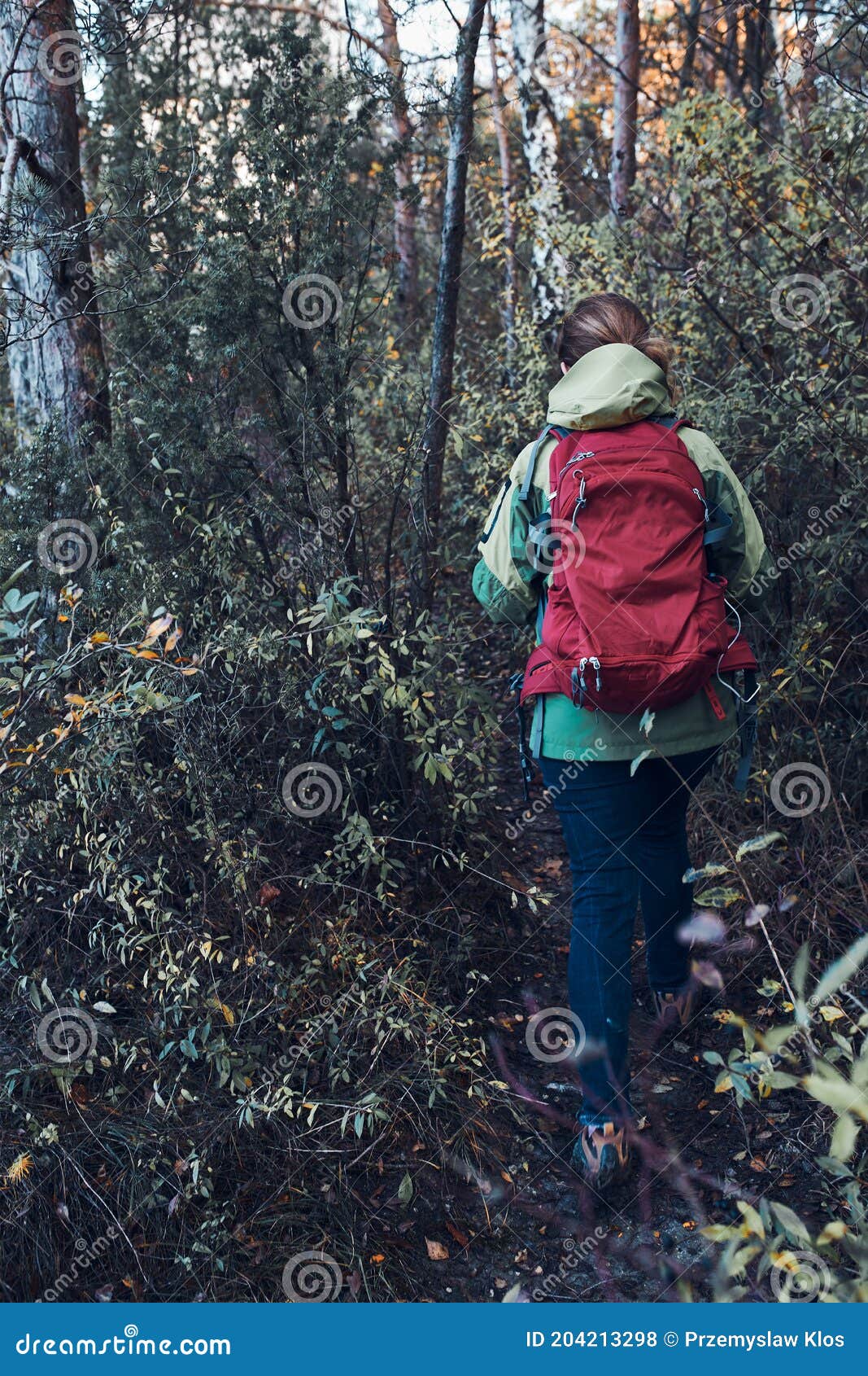 Woman with Backpack Wandering Around a Forest on Autumn Cold Day Stock ...
