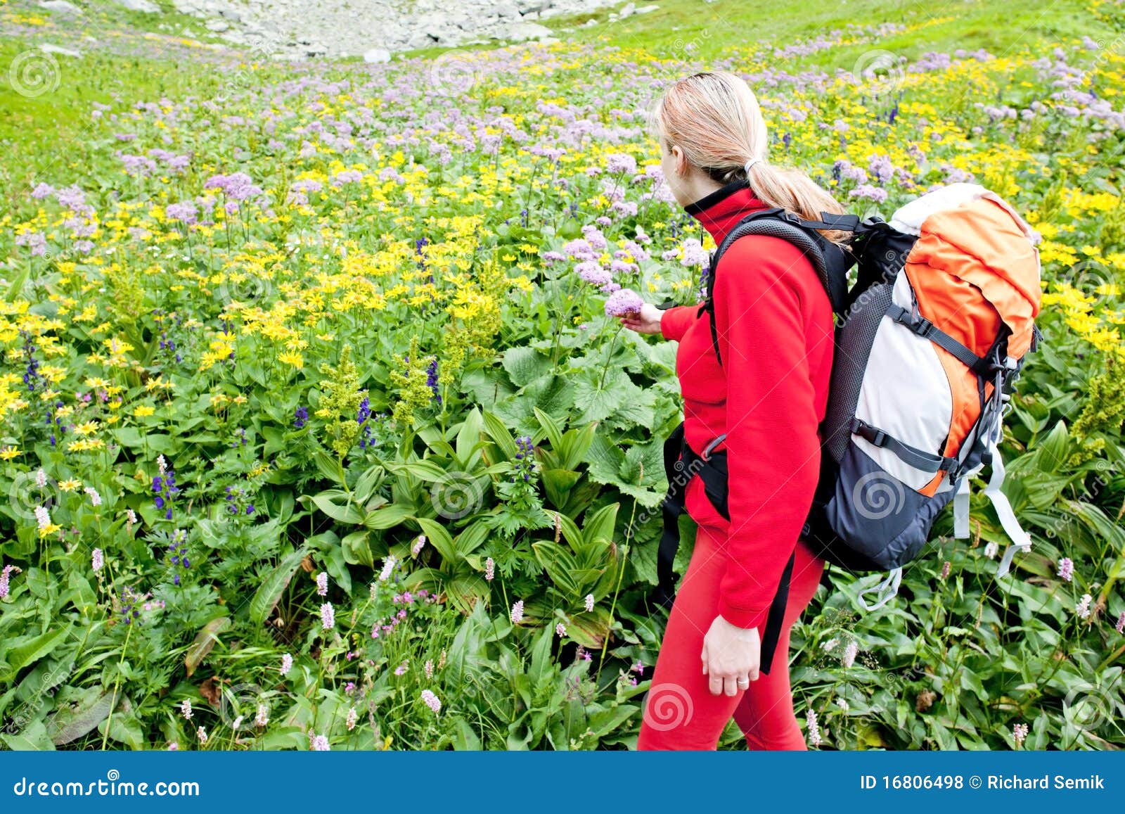 Woman backpacker stock photo. Image of outdoors, exteriors - 16806498