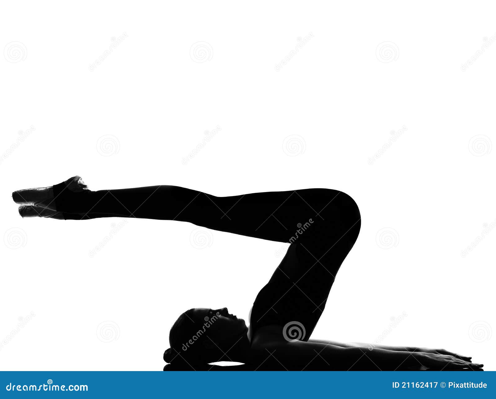 Woman Ballet Dancer Standing Pose Stock Image | CartoonDealer.com #23091835