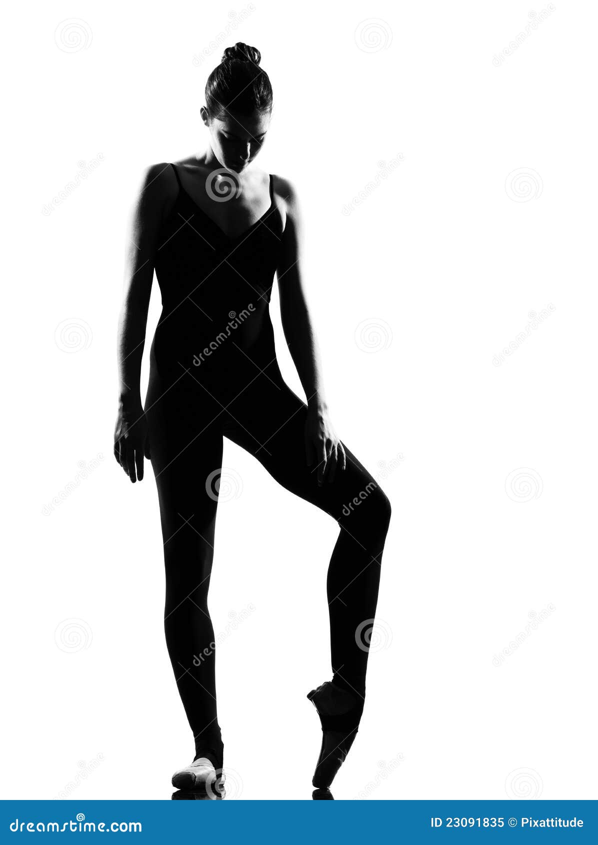 Woman Ballet Dancer Standing Pose Stock Image | CartoonDealer.com #23091835