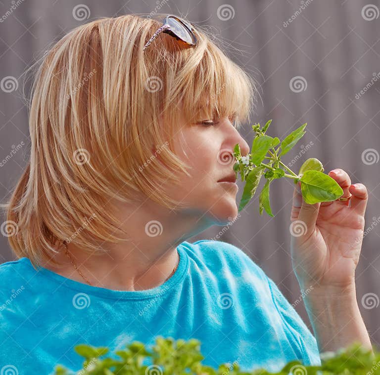 Woman with basil stock photo. Image of basil, culture - 11058506