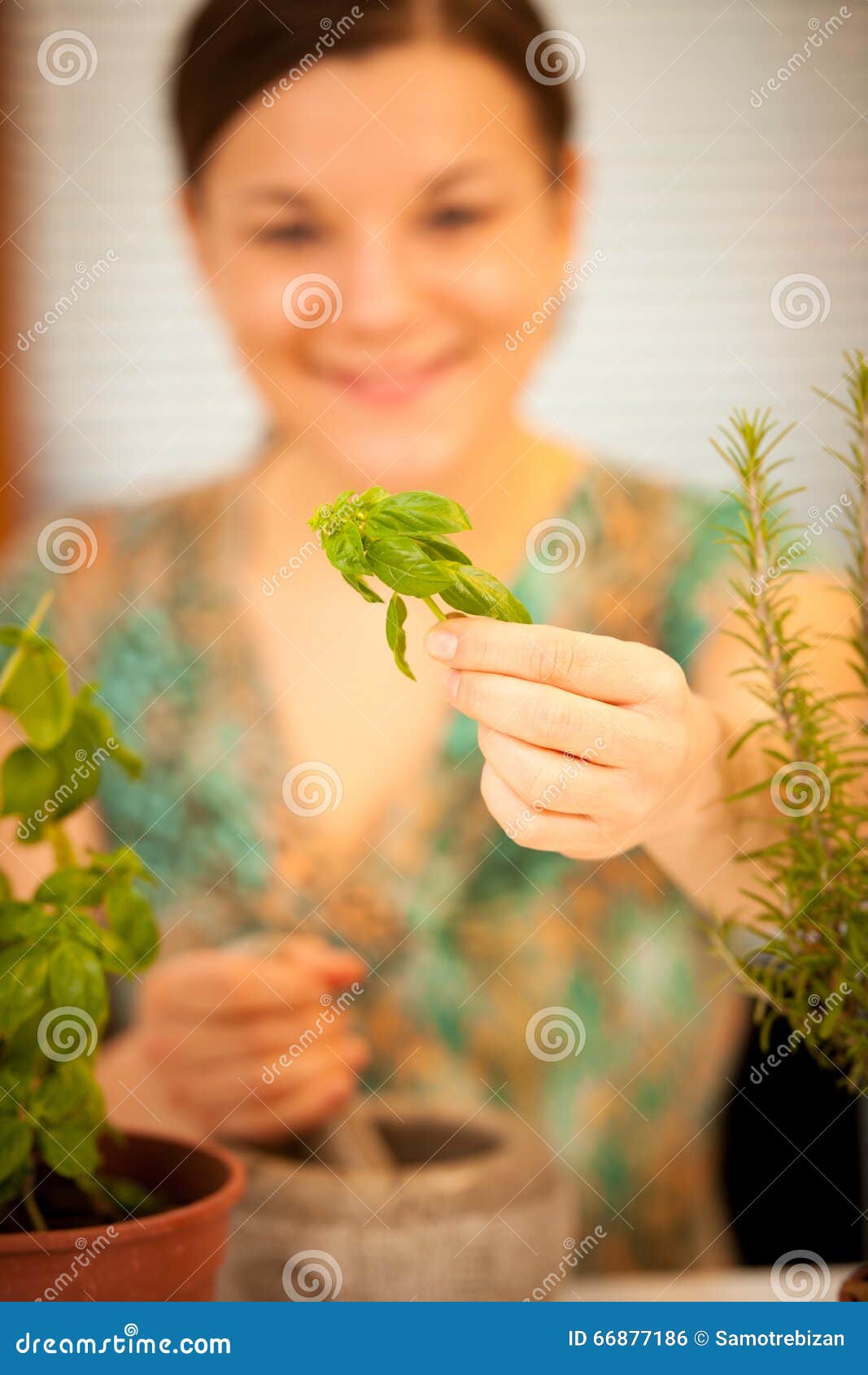 Woman with Basil. Workshop of Knowing Herbs, Touching and Smelling ...