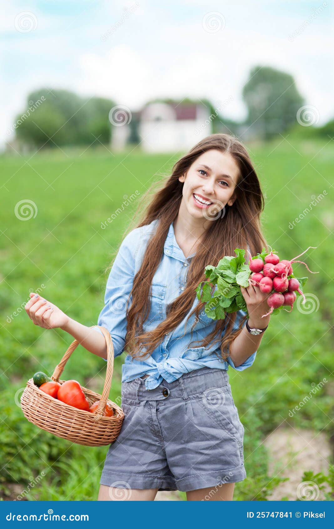 Woman with Basket of Harvested Vegetables Stock Image - Image of basket ...