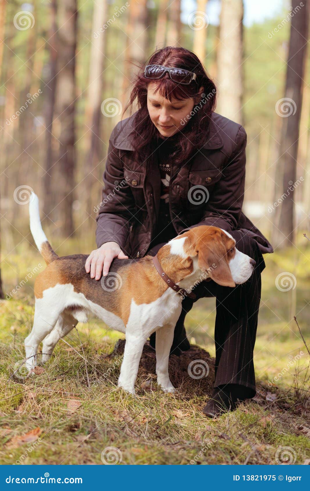 Woman with beagle stock image. Image of woman, animal - 13821975