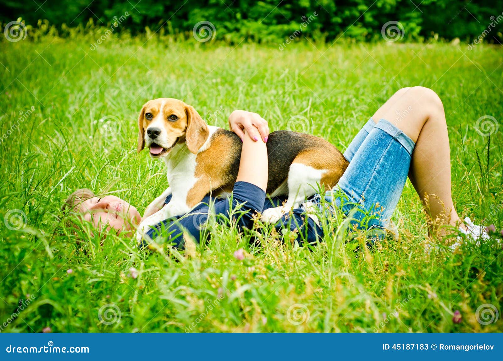 Woman with beagle stock image. Image of lying, outdoor - 45187183