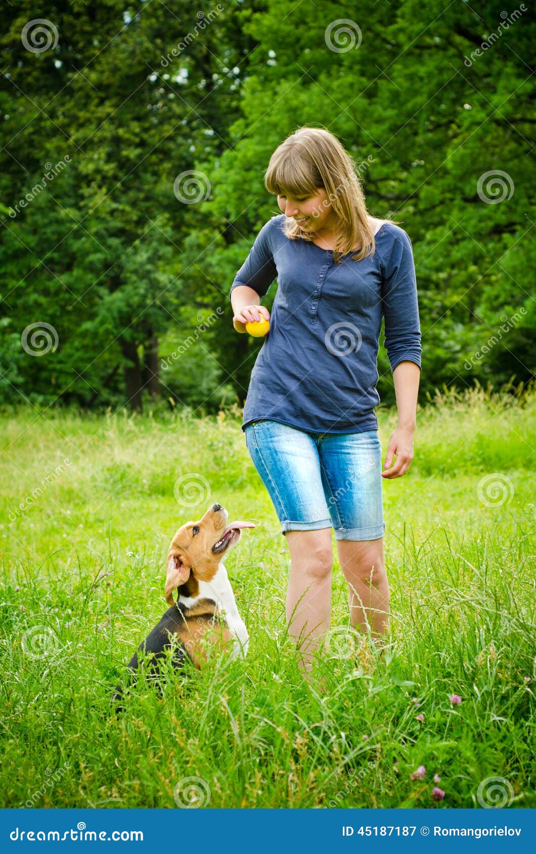 Woman with beagle stock image. Image of cheerful, lifestyle - 45187187