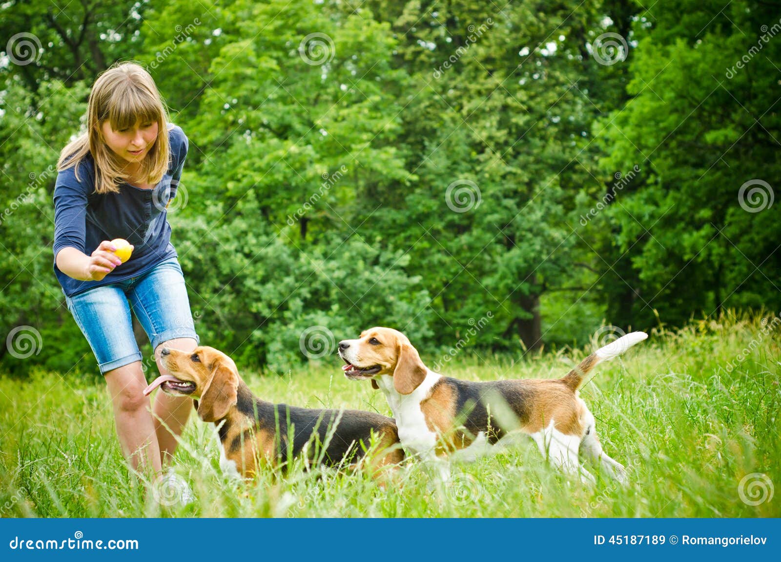 Woman with beagle stock image. Image of ball, friend - 45187189