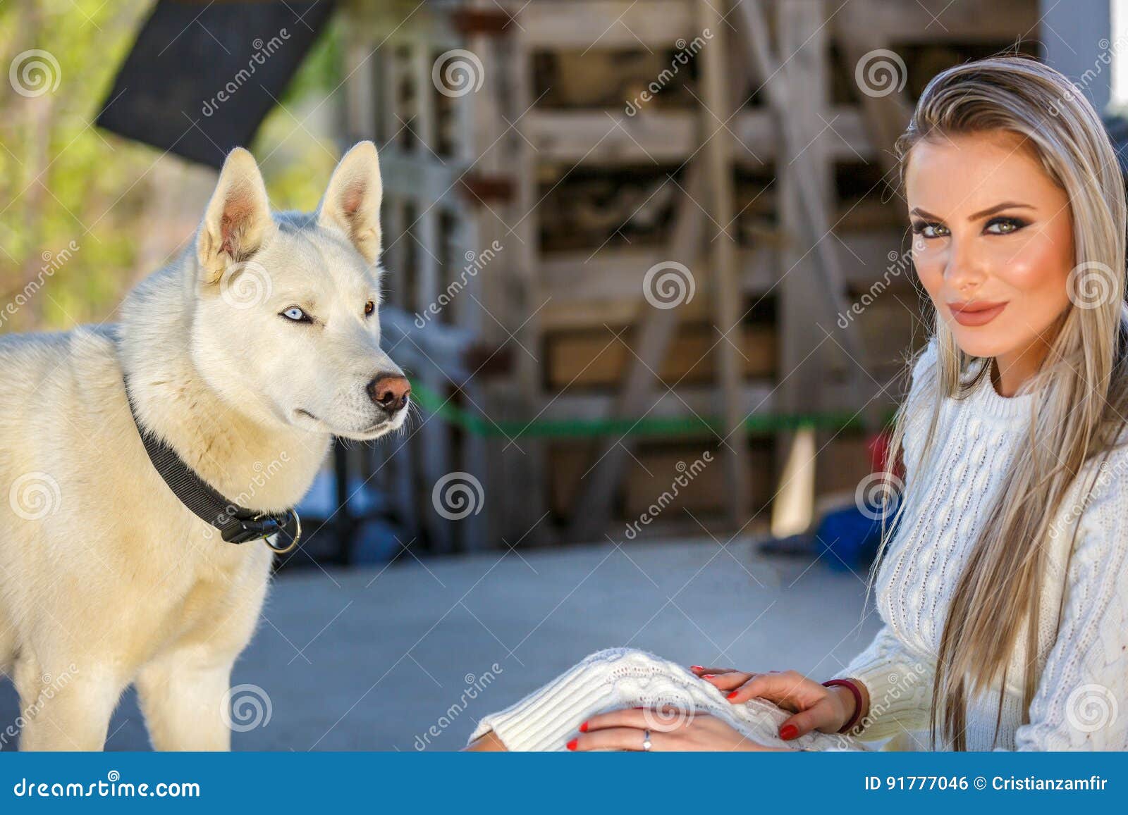 Woman with a Beautiful Husky Dog Stock Photo - Image of female, glamour ...