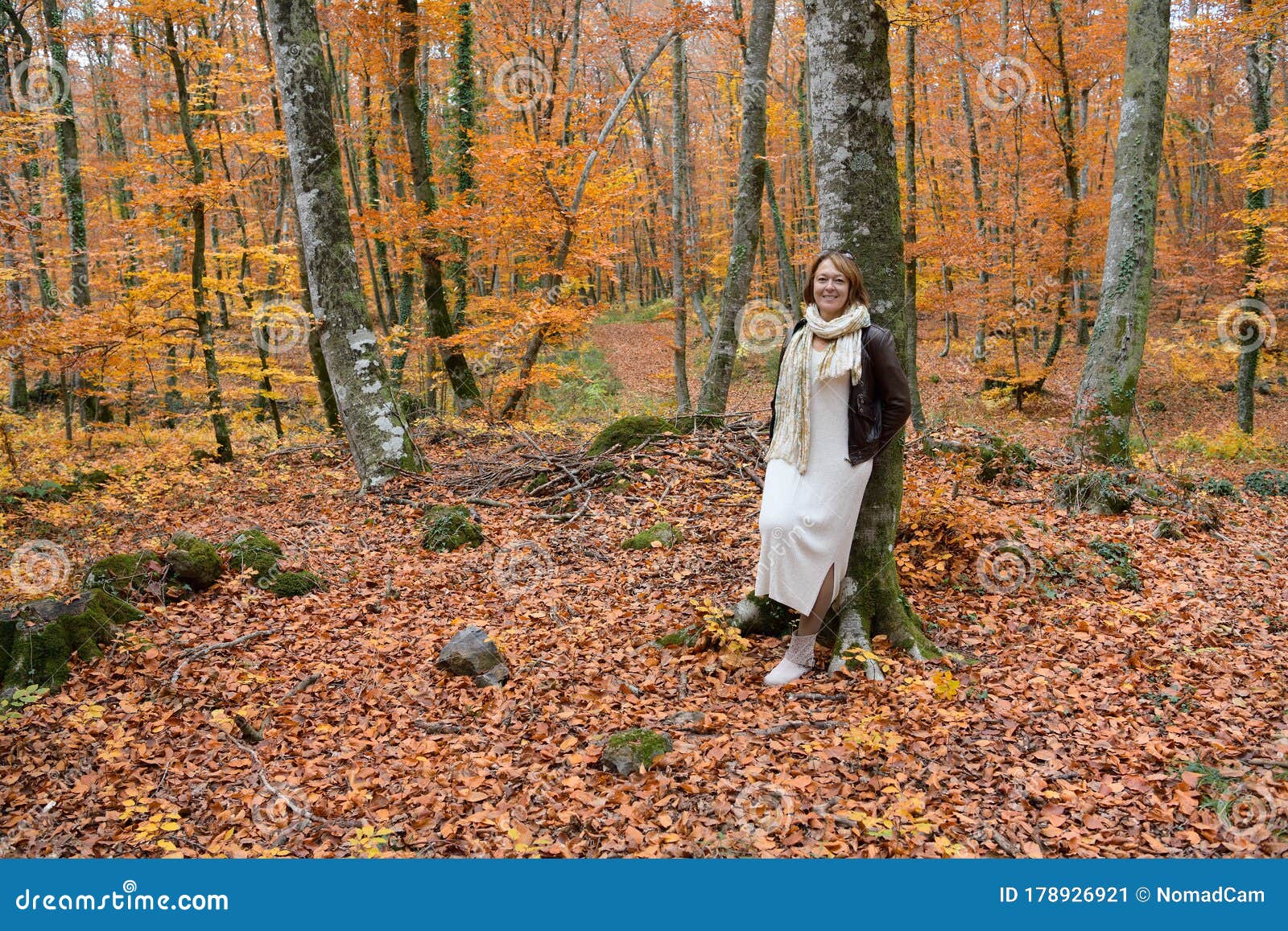 Woman in a Beech Forest in Autumn Leaning on a Tree Trunk Stock Image ...