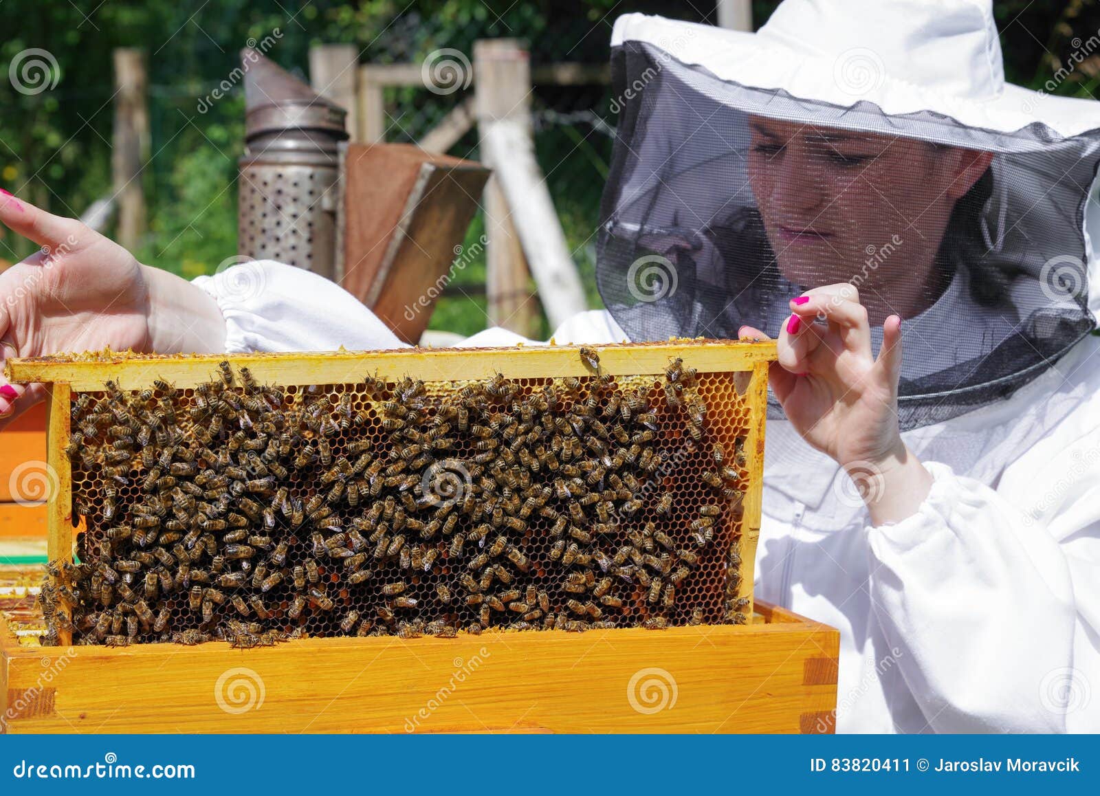 Woman beekeeper with bees stock image. Image of beekeeping - 83820411