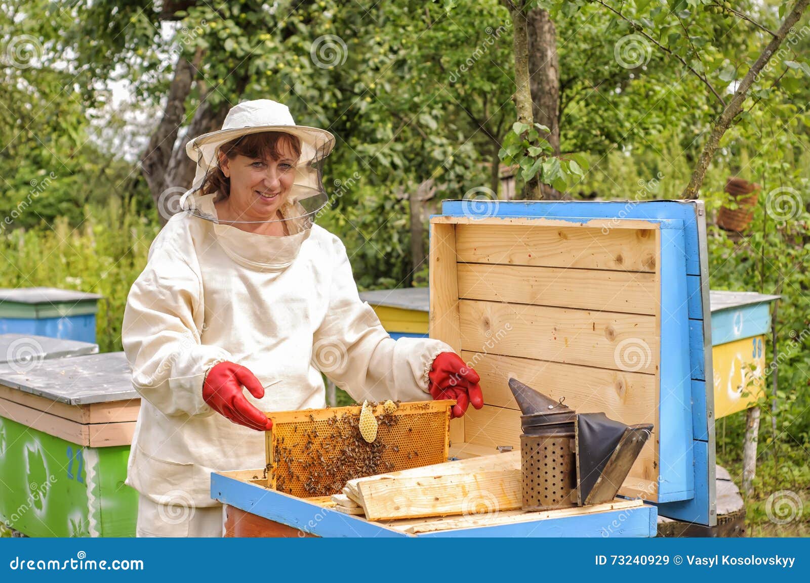 Woman Beekeeper Looks after Bees Stock Image - Image of nature, organic ...