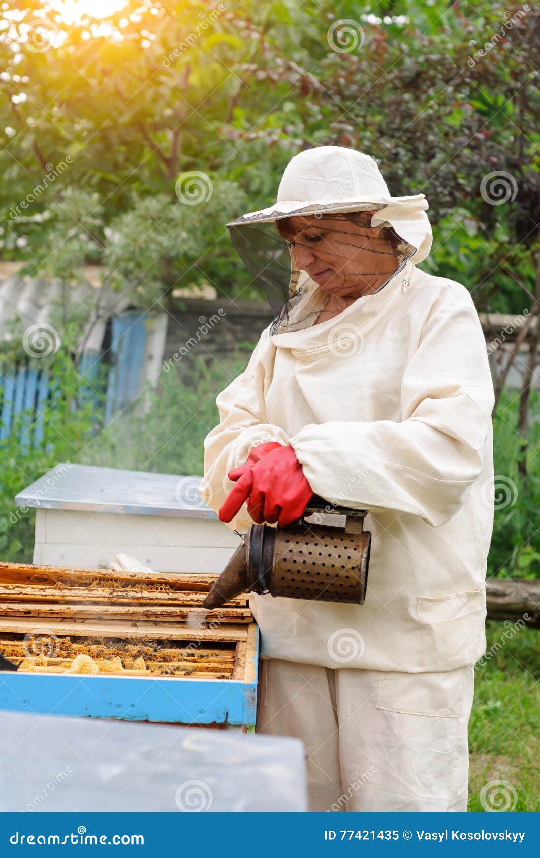 Woman Beekeeper Looks after Bees Stock Image - Image of keeper ...