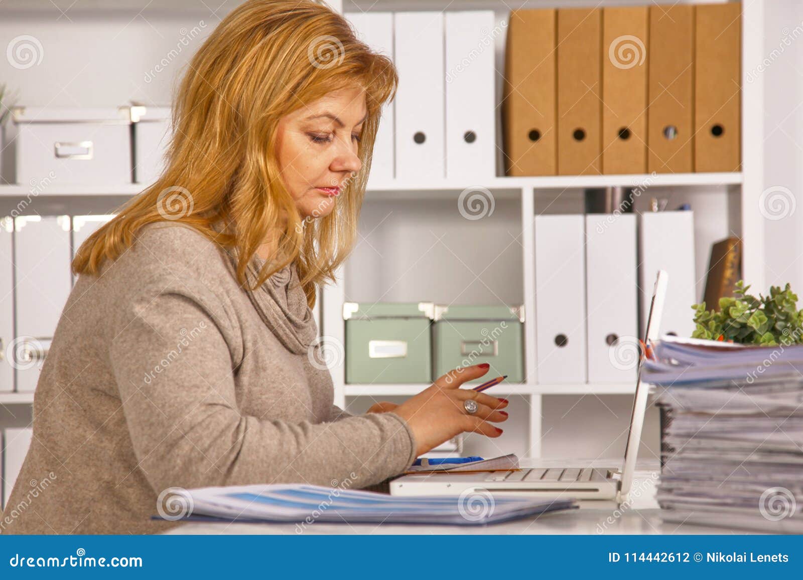 The Woman Behind the Desk in the Office Stock Photo - Image of ...
