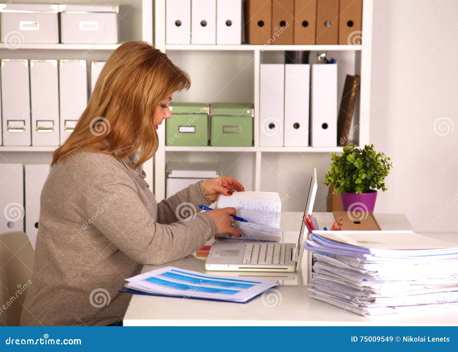 The Woman Behind the Desk in the Office Stock Image - Image of ...