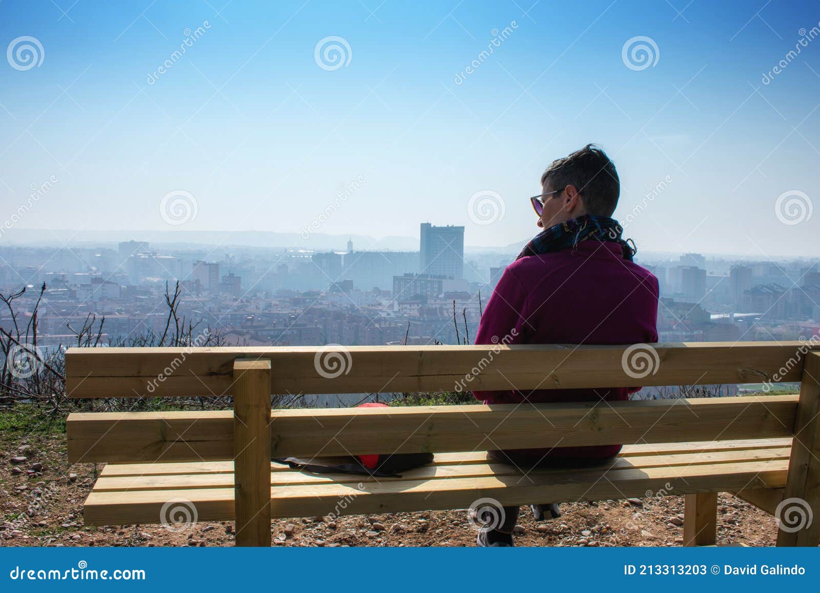 Woman from Behind Sitting on Bench with City in Background Stock Image ...