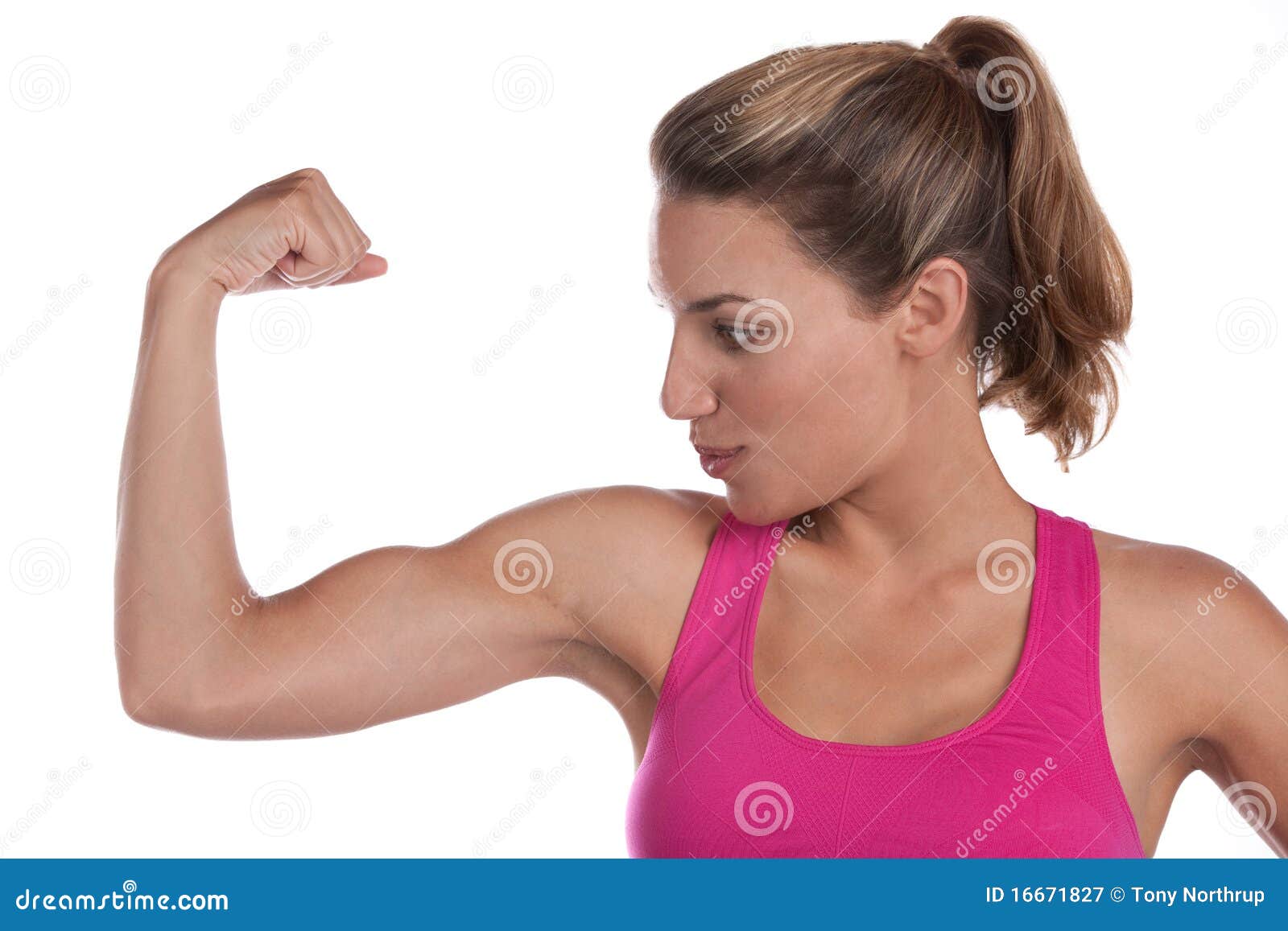 Woman bicep stock image. Image of exercise, dieting, care - 16671827
