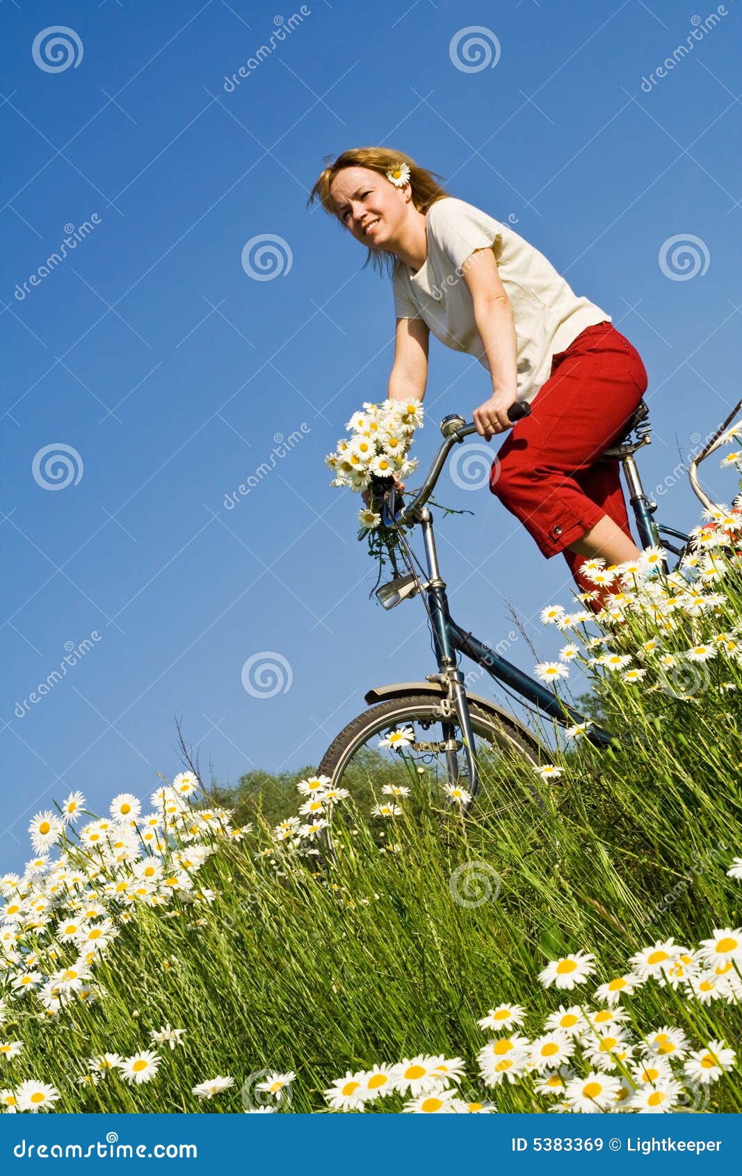 Woman with Bicycle among Spring Flowers Stock Image - Image of outdoors ...