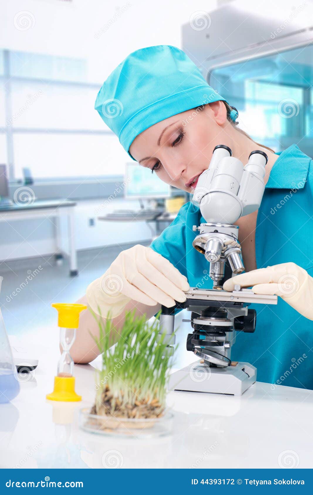 Biologist Working With Sample In Petri Dish In Laboratory Stock Image ...