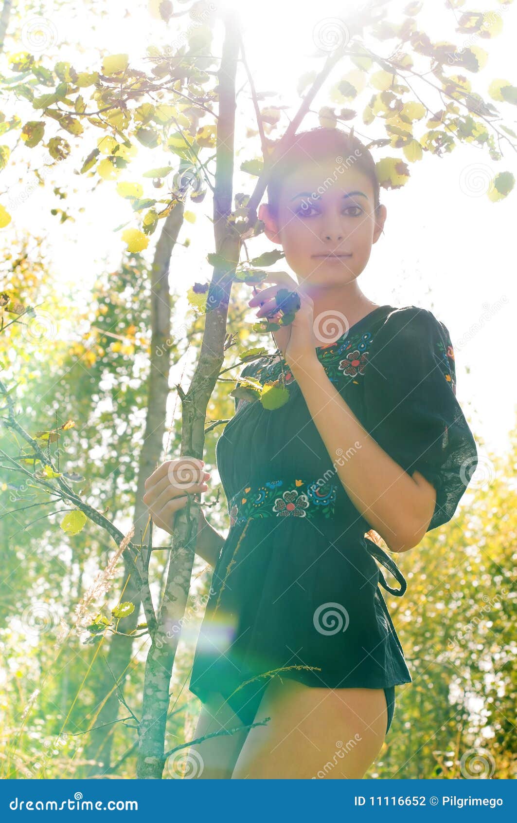 Woman at the birch stock photo. Image of holding, field - 11116652