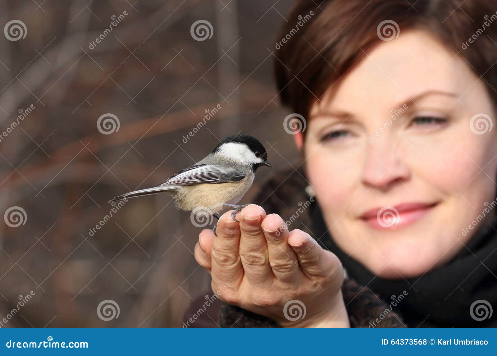 Woman and bird stock photo. Image of woman, wildlife - 64373568
