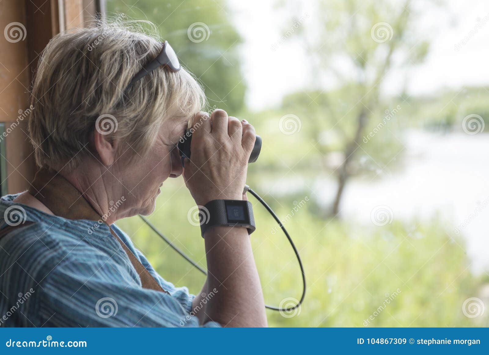 Bird Watching Stock Images - Download 52,853 Photos