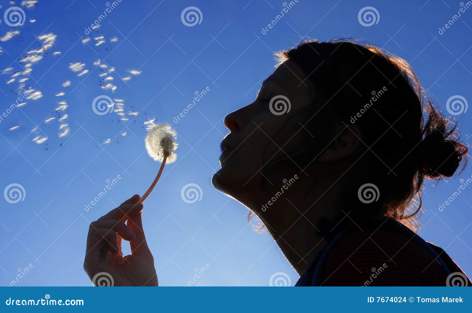Woman is Blowing To the Dandelion Stock Photo - Image of head, devon ...