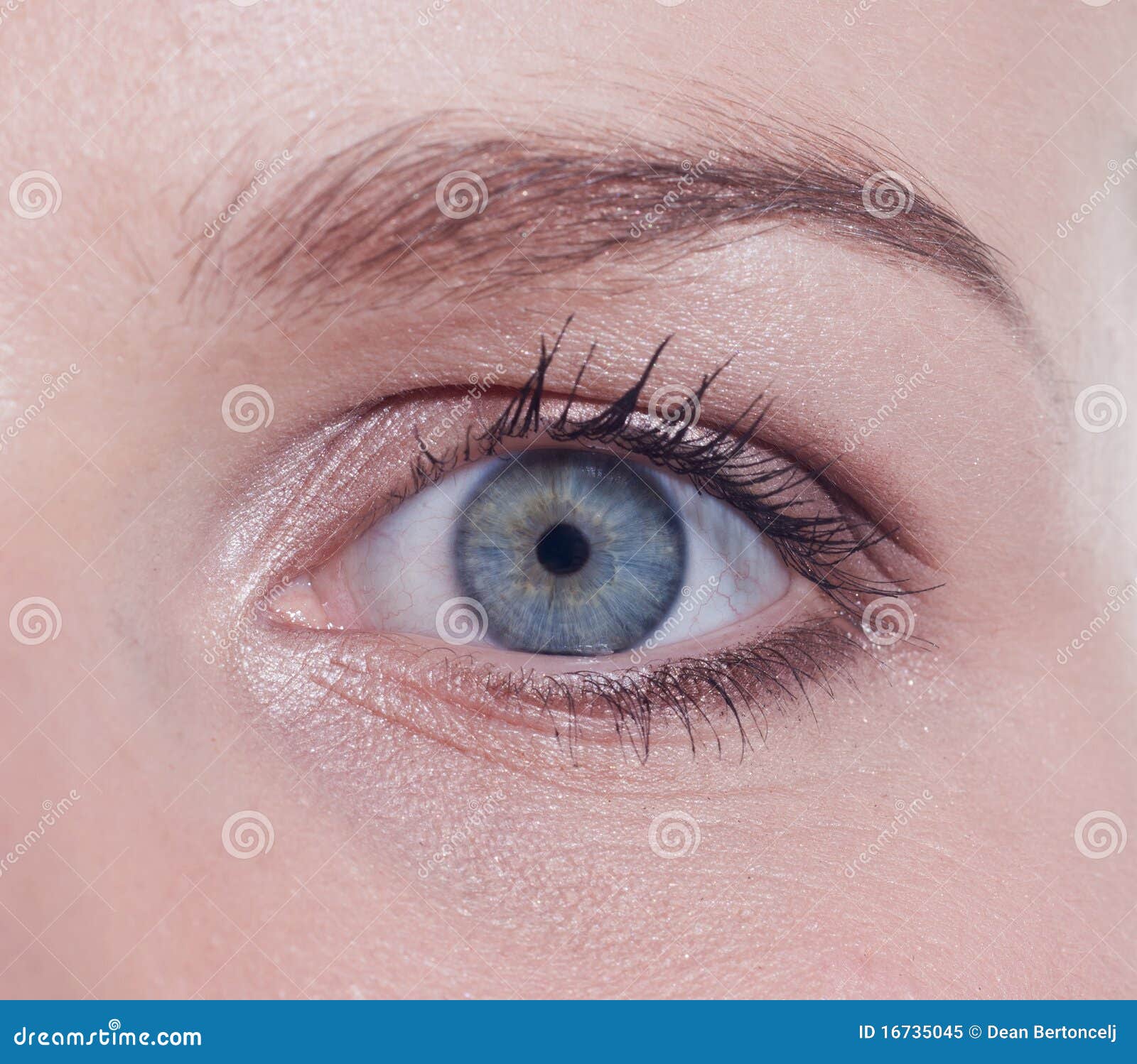 Woman blue eye stock image. Image of detail, human, female - 16735045