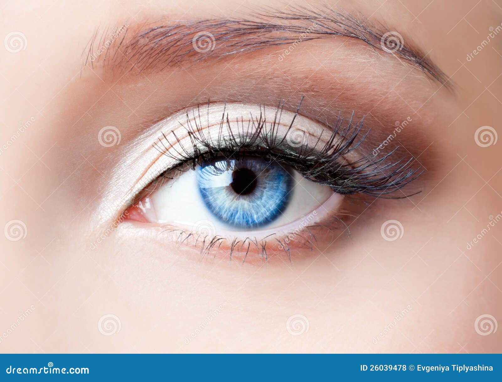 Woman blue eye stock photo. Image of eyeball, female - 26039478