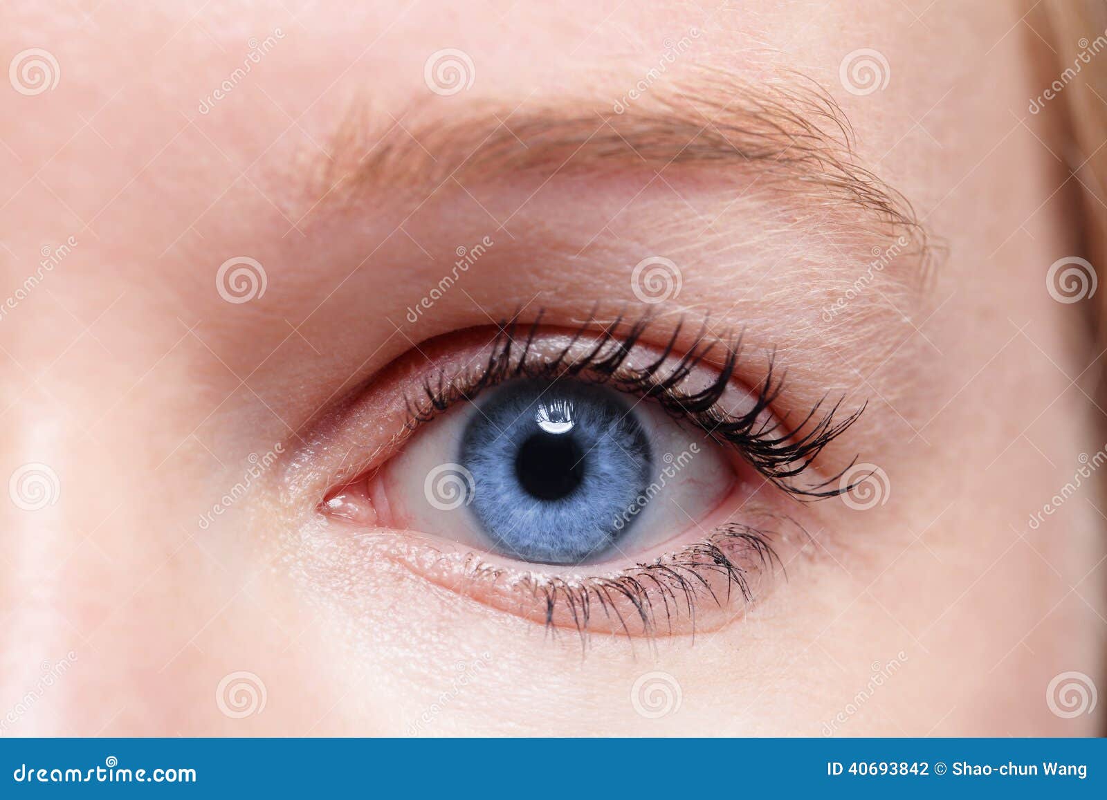 Woman blue eye stock photo. Image of cute, health, face - 40693842