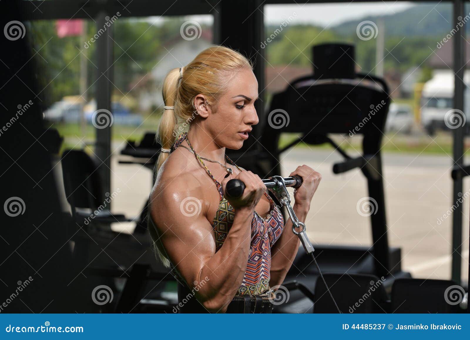 Woman Bodybuilder Doing Exercise for Biceps Stock Image - Image of ...
