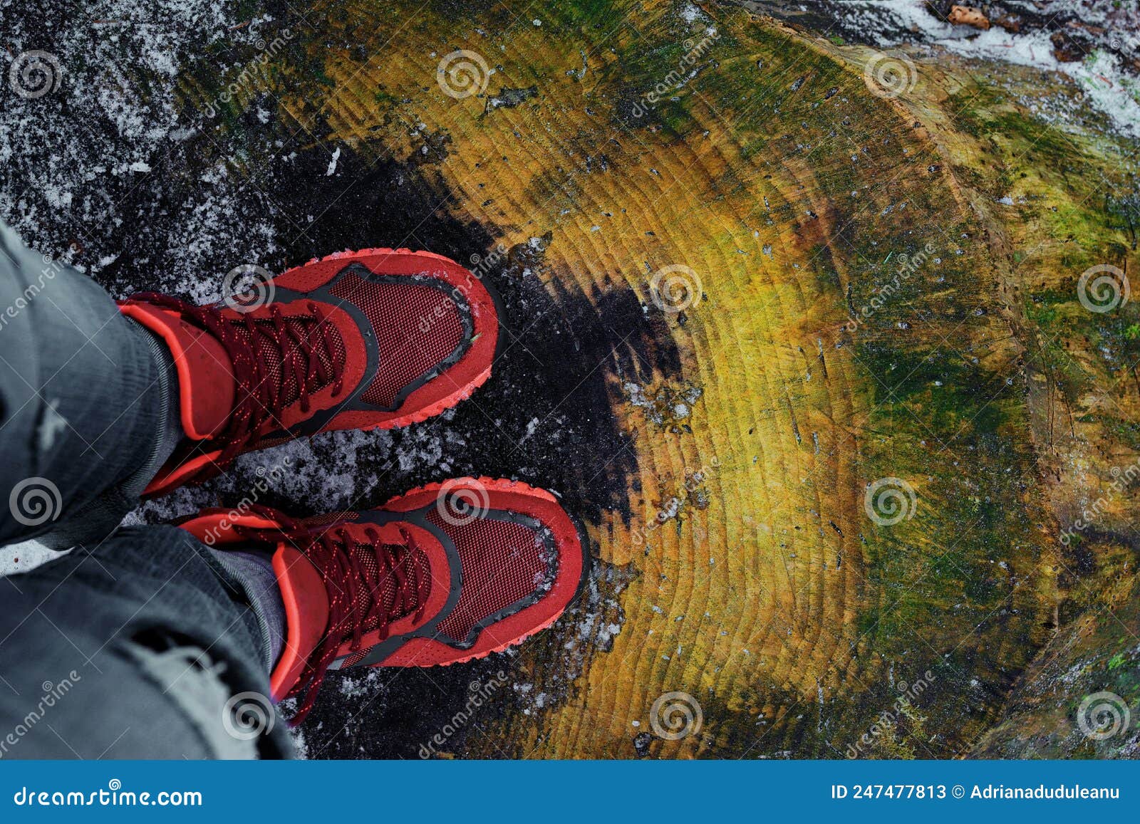 Person on tree trunk stock image. Image of yellow, people - 247477813