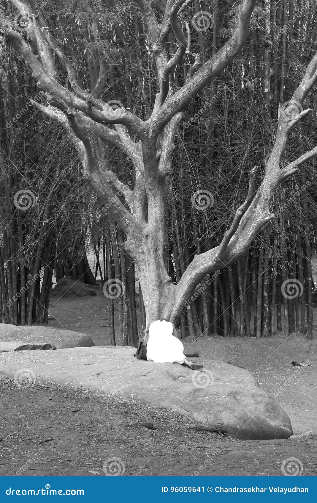 Woman Bowing Her Head To a Tree Stock Image - Image of meditation ...