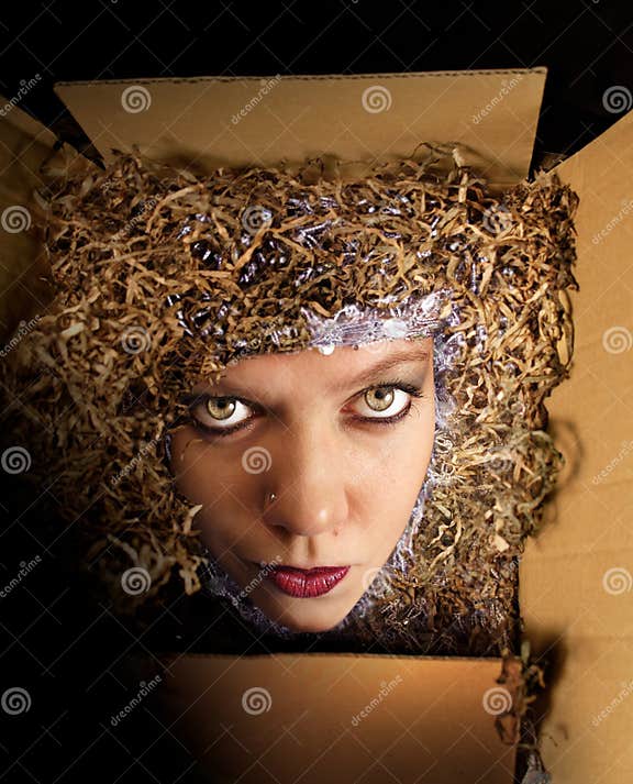 Woman in the box stock image. Image of woman, shipment - 4165235