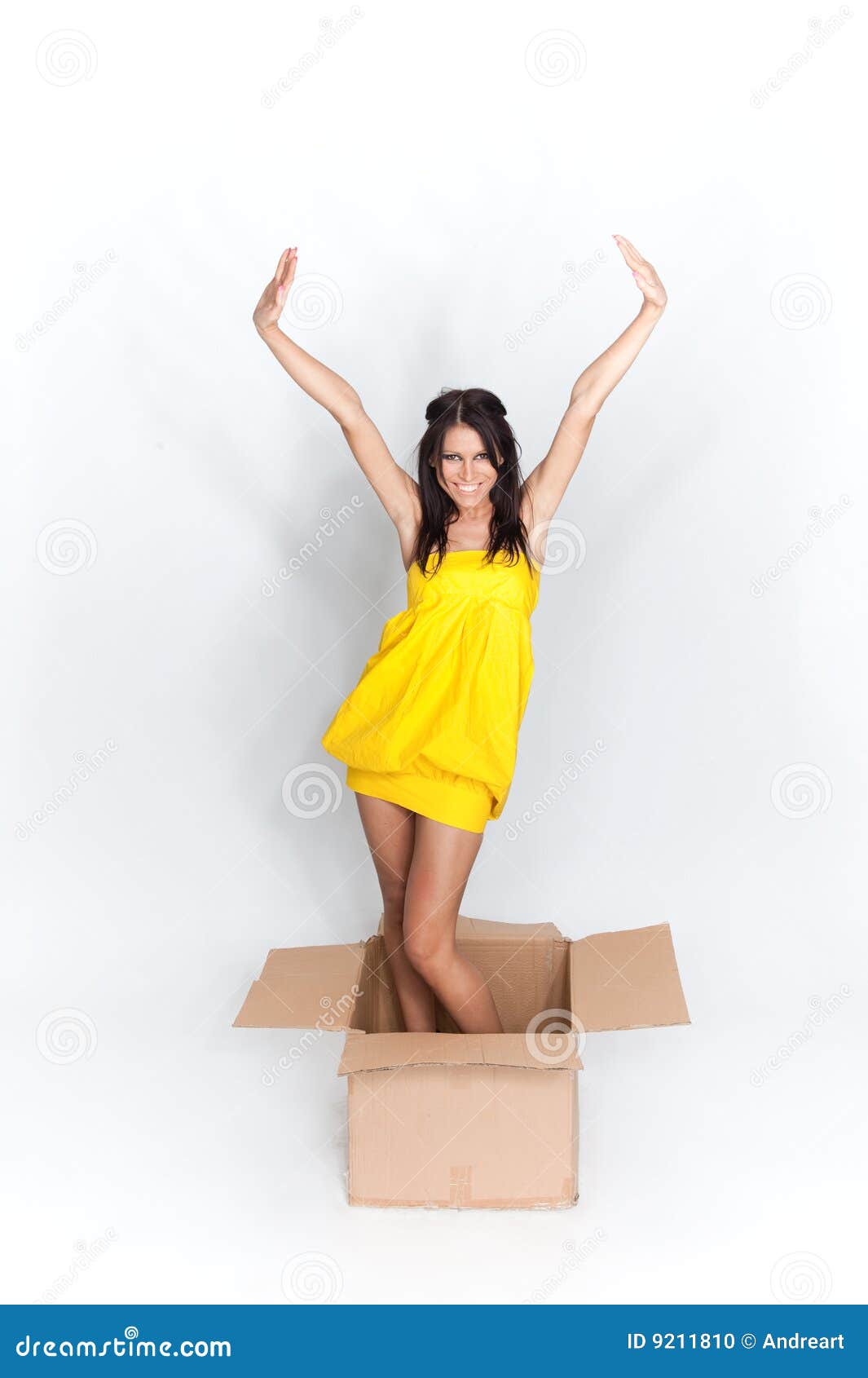 Woman in box stock photo. Image of beautiful, girl, lady - 9211810