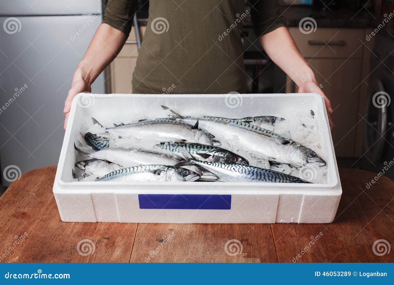 Woman with box of mackerel stock image. Image of preparation - 46053289