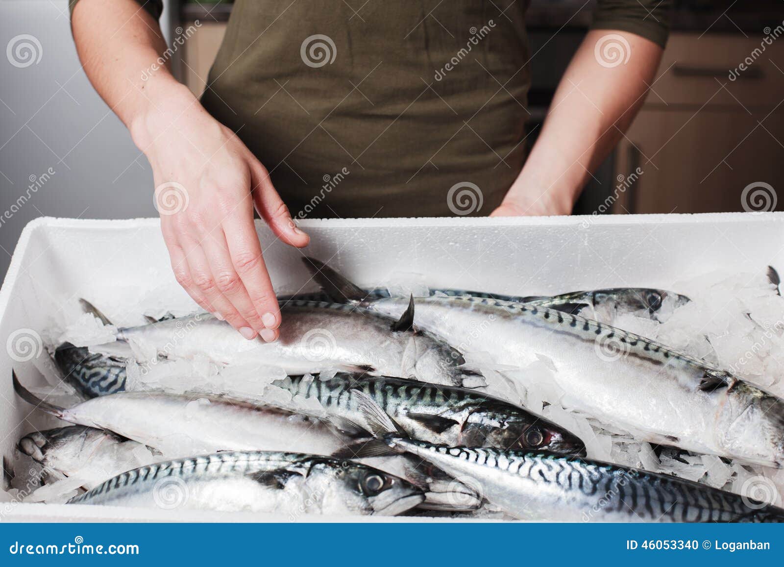 Woman with box of mackerel stock photo. Image of fresh - 46053340