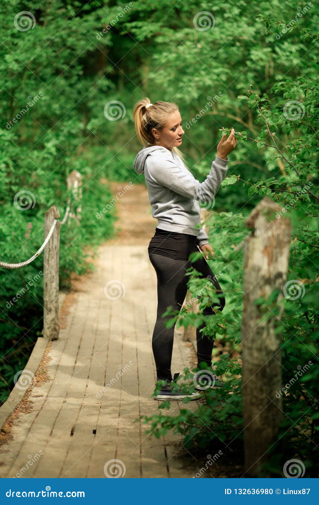 Woman on a Bridge in Forest Stock Photo - Image of adventure ...