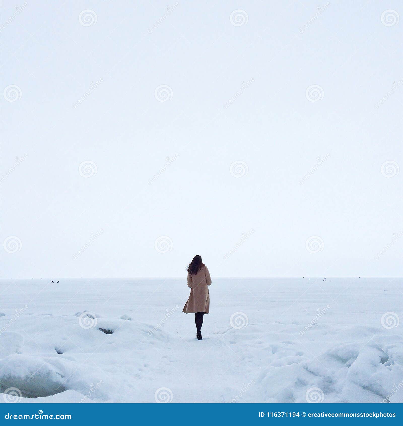 Woman In Brown Coat On Snow Picture. Image: 116371194