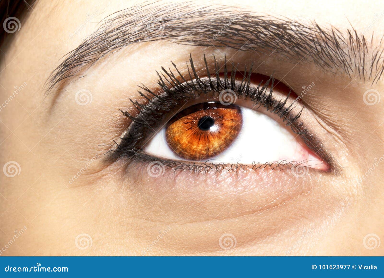 Woman Eye with Extremely Long Eyelashes Stock Image - Image of eyelash ...