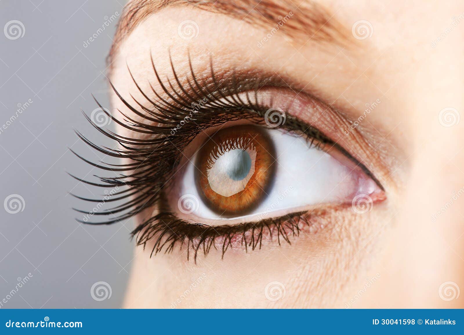 Woman Brown Eye with False Lashes Stock Photo - Image of lashes, beauty ...