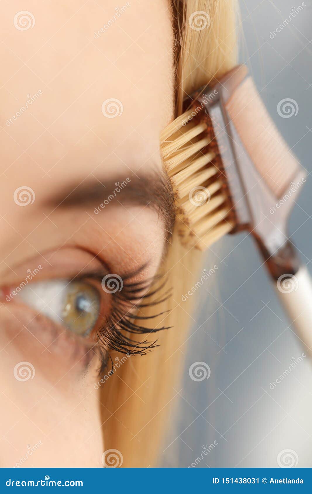 Woman Brushing Her Eyebrows Stock Image - Image of young, eyebrow ...