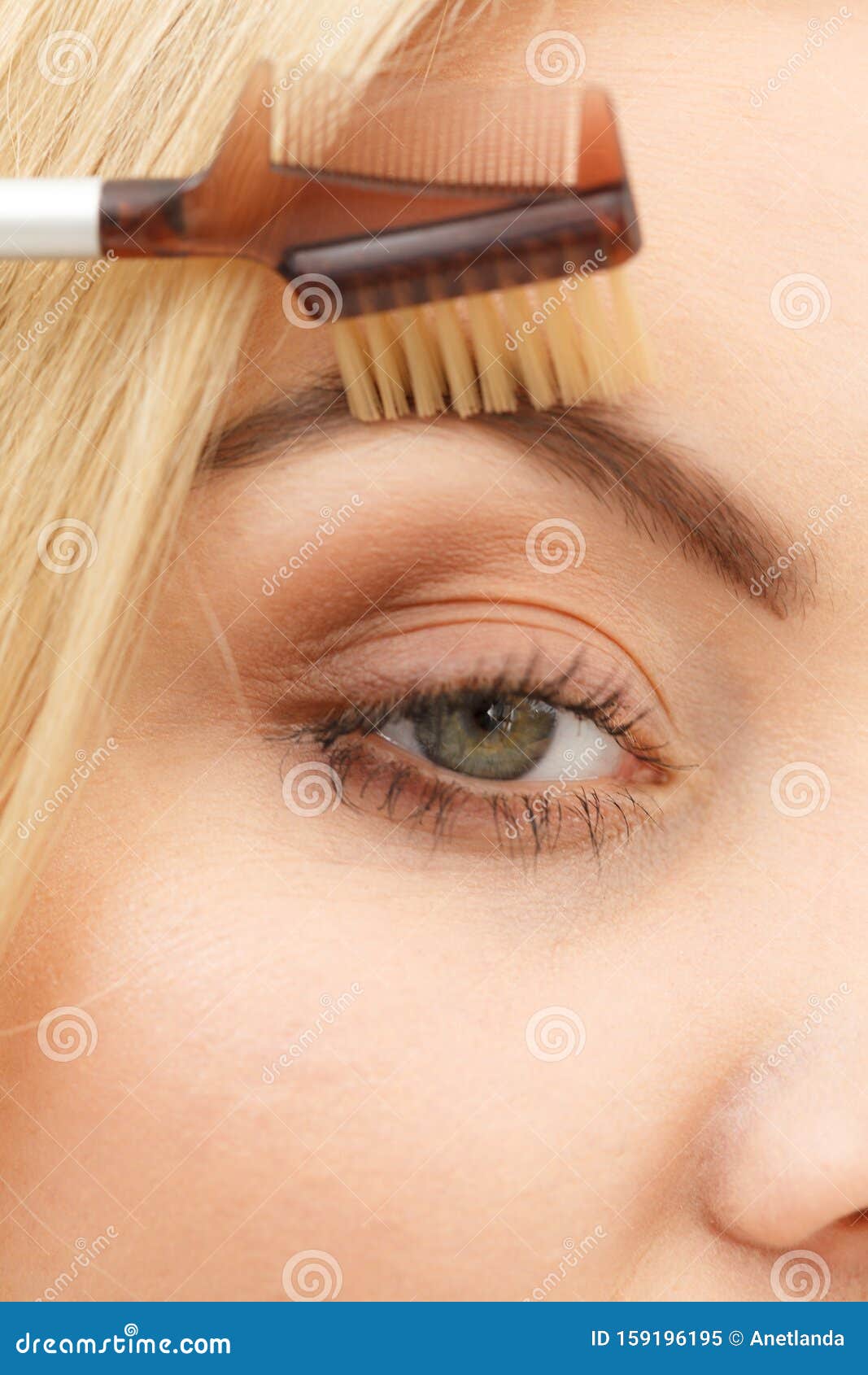 Woman Brushing Her Eyebrows Stock Image - Image of brush, brushing ...