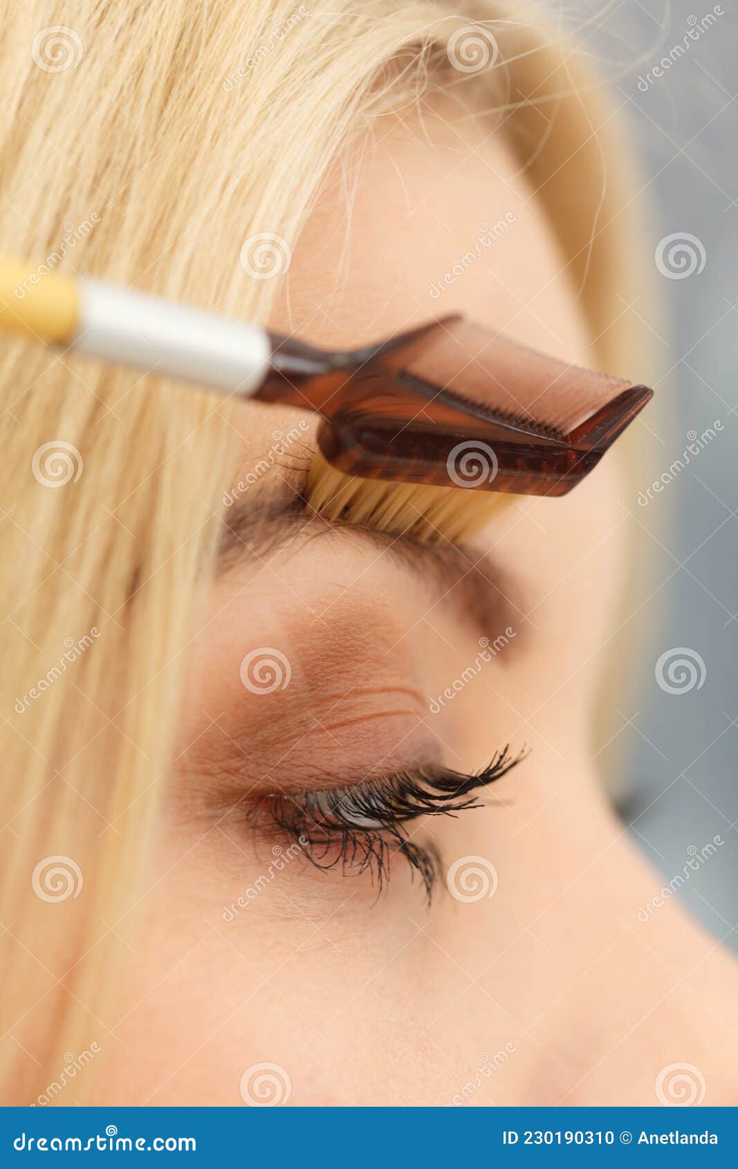 Woman Brushing Her Eyebrows Stock Photo - Image of brush, model: 230190310