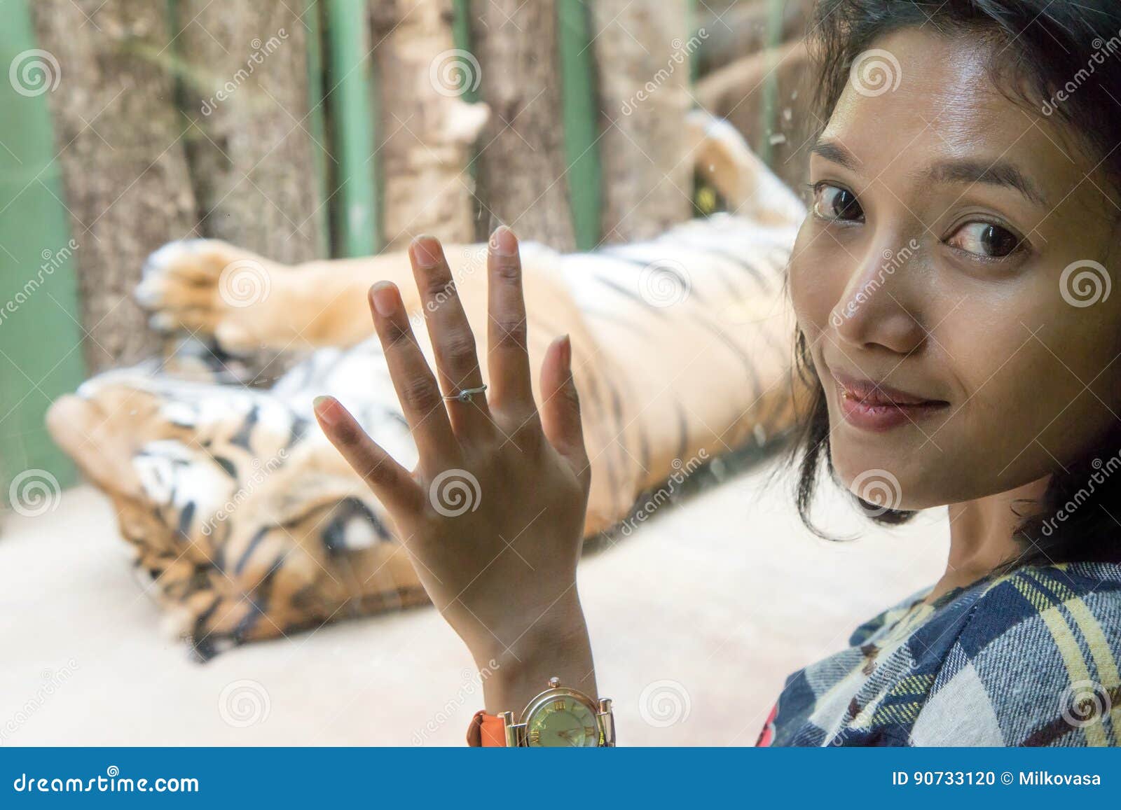 Woman at the Cage with a Tiger Stock Photo - Image of rear, carnivore ...